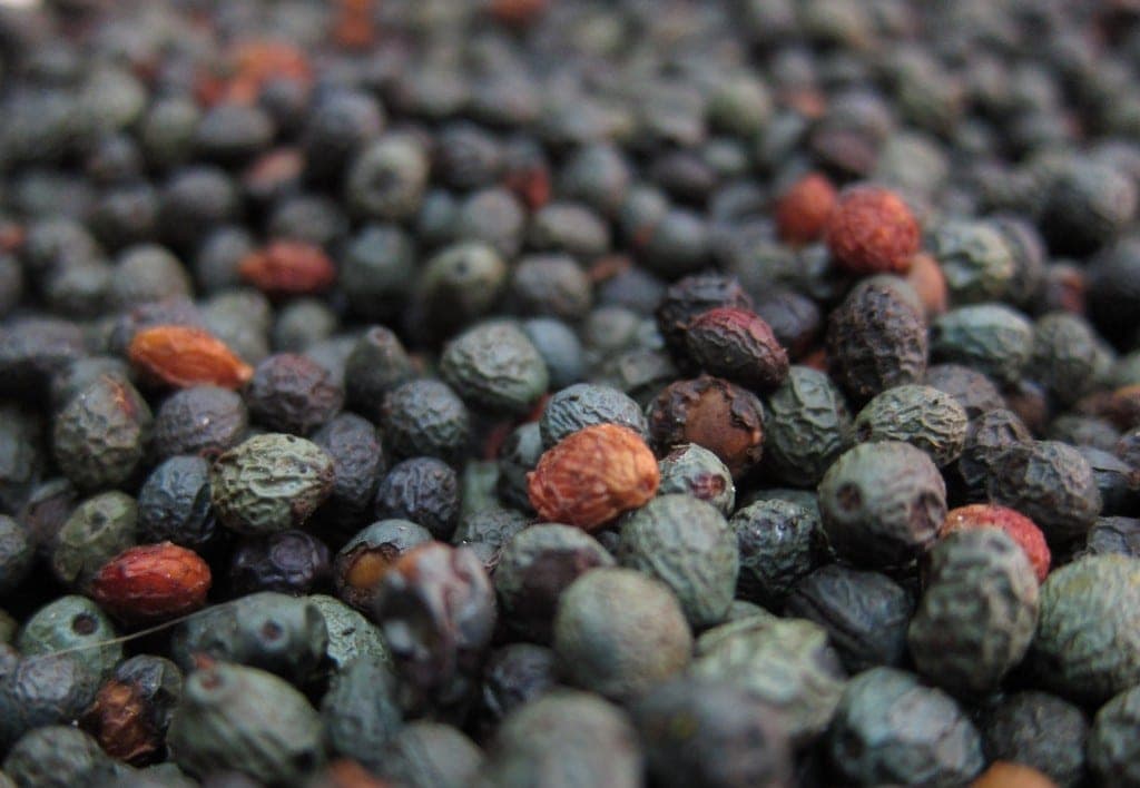 Spices, Travel and Food around the World