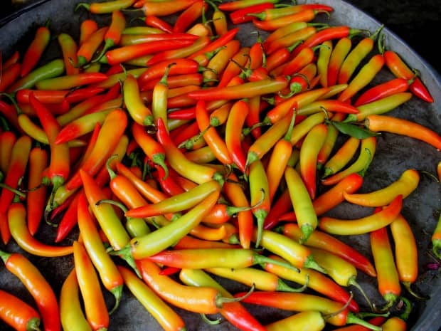 A Brief History of Chili Peppers from 6,100 Year Ago to Today
